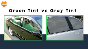 Green Tint vs Gray Tint: Which Offers Better Privacy for Your Windows?